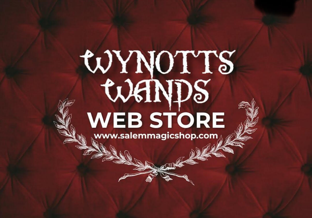 The Owl Wand – Wynott Wands